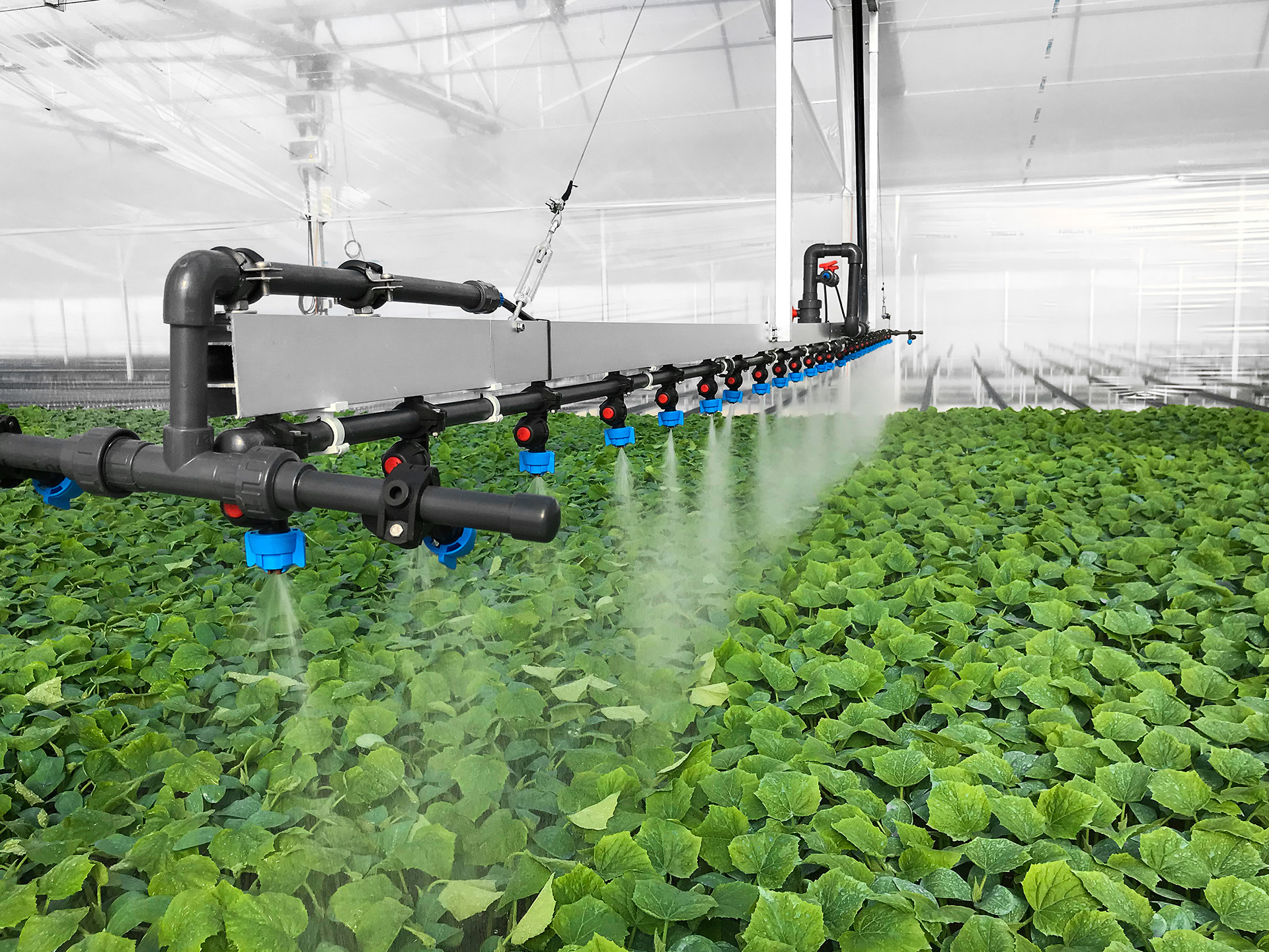 Greenhouse Watering Systems DIY Greenhouse Irrigation System For