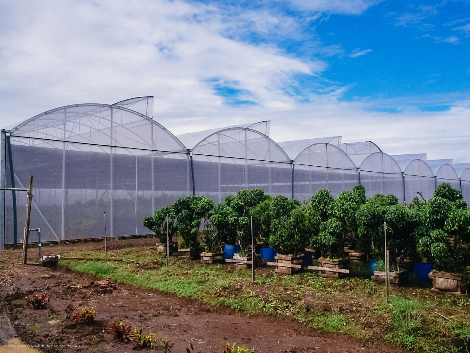 Kits De Invernaderos Sostenibles