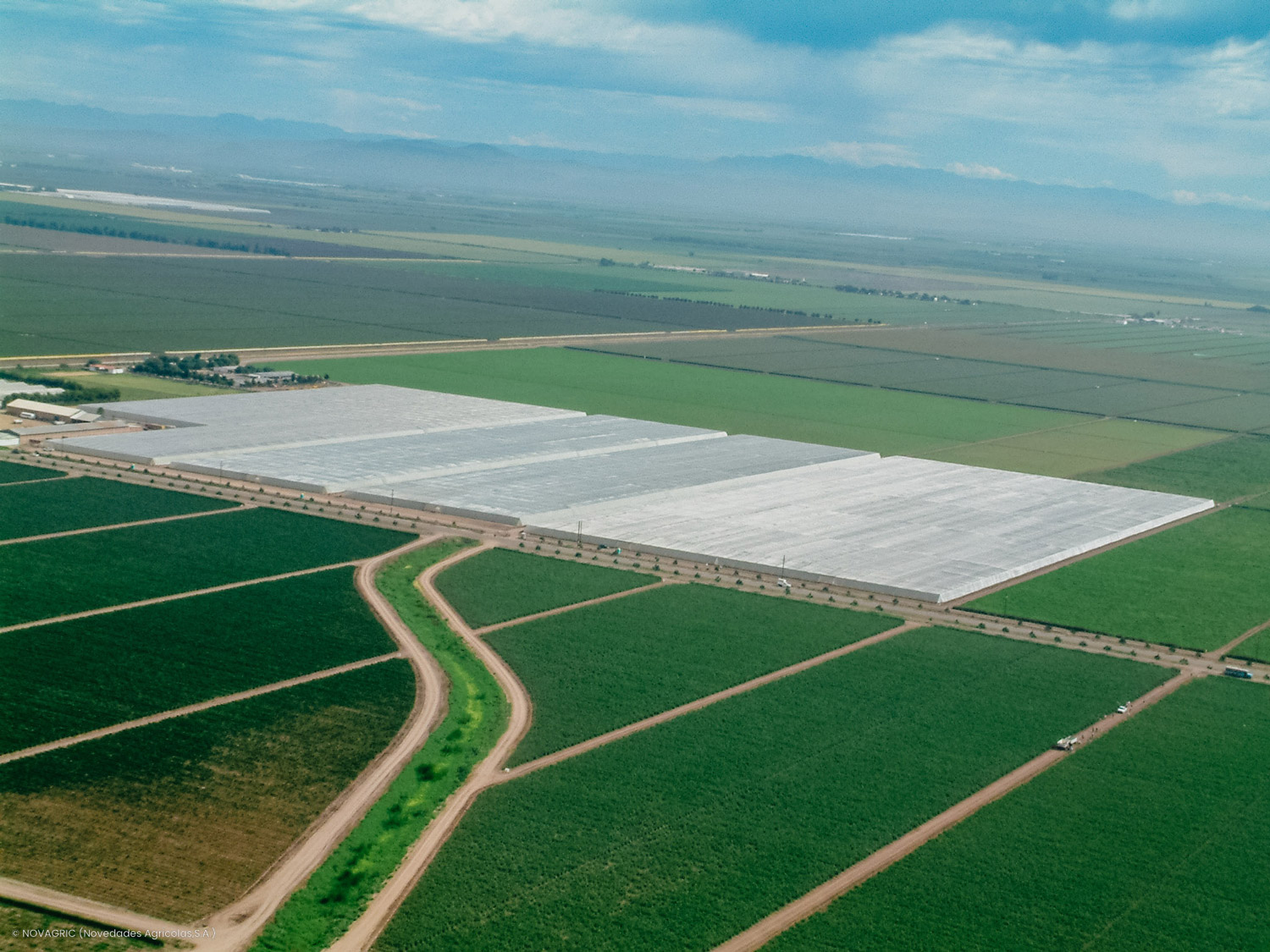 Vegetable Greenhouses in Sinaloa | Novagric