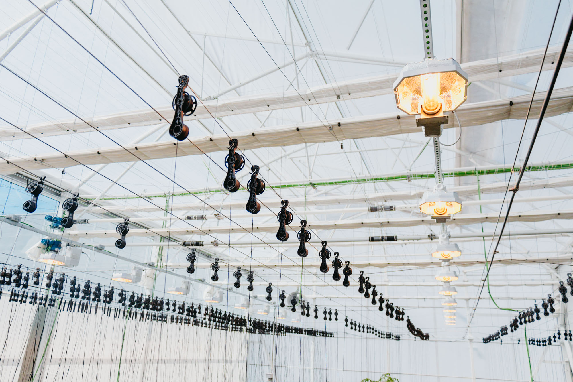 Greenhouse Climate and Temperature System | Novagric