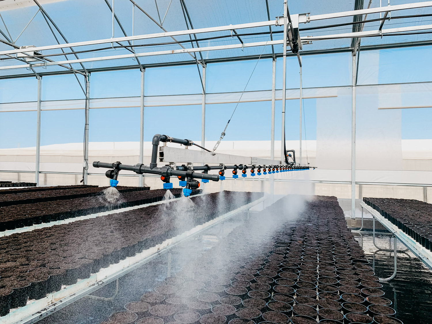 Semilleros para plantas hortícolas y frutas | Novagric