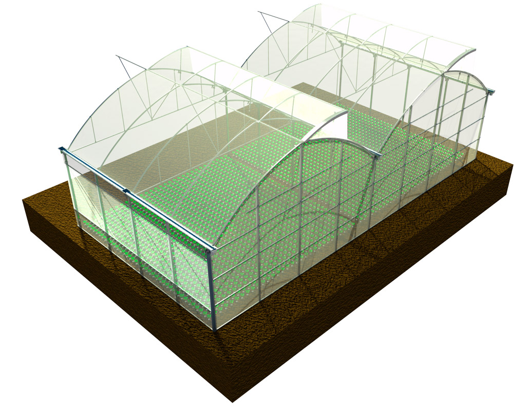 Gothic Arch Greenhouse Advantages Ohuhu Portable Tunnel Greenhouse