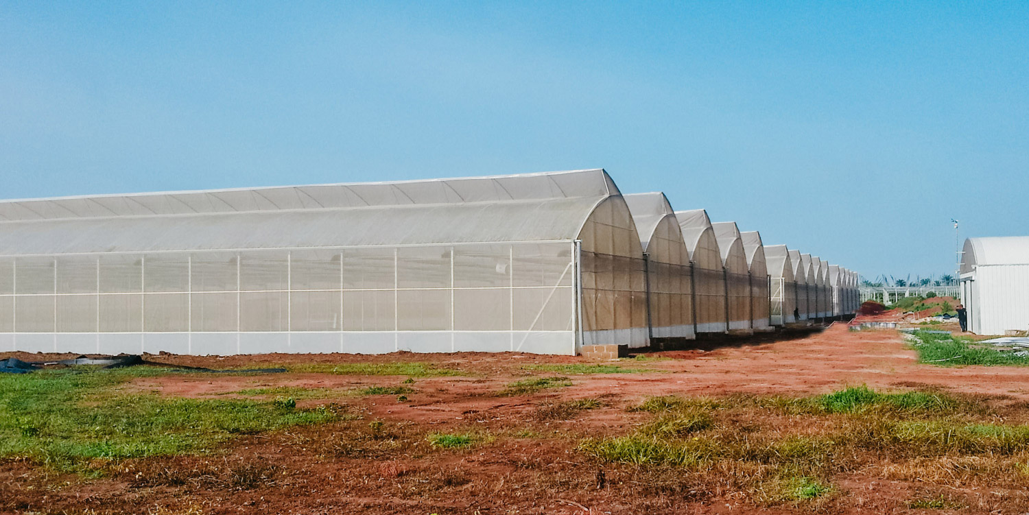 Diseño De Invernadero En El Suelo Ideas Bonitas Para Montar Un