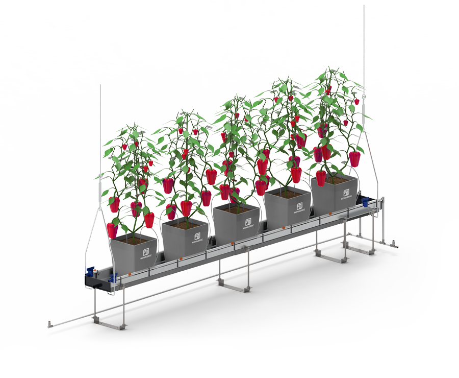 Sistema Hidropónico De Goteo Con Ciclo Del Agua